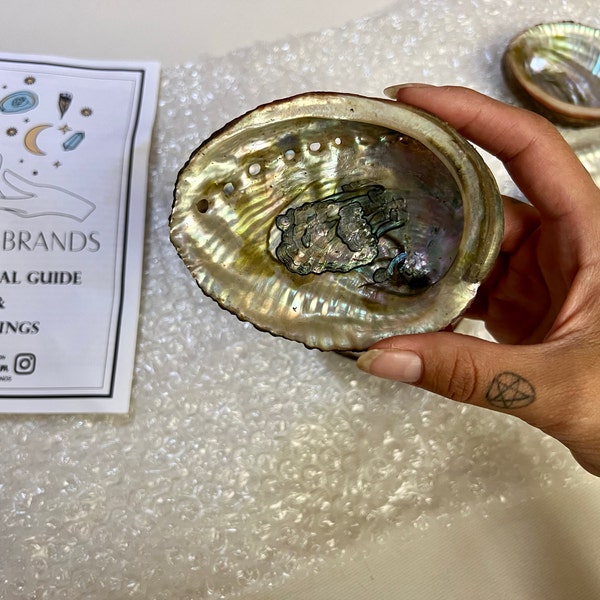 Wholesale Abalone Shells for Smudging, Smudging Bowl to Smudge White ...