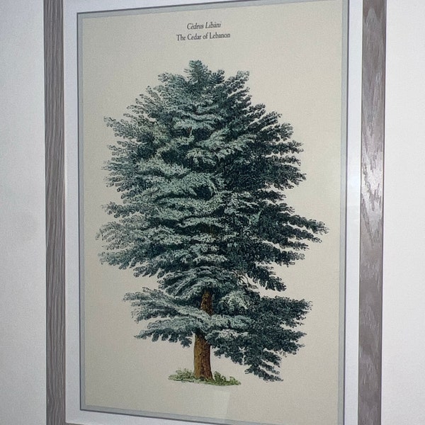 Heraldry Crest Craven Family. Craven Family Tree. Special Birthday Gift ...