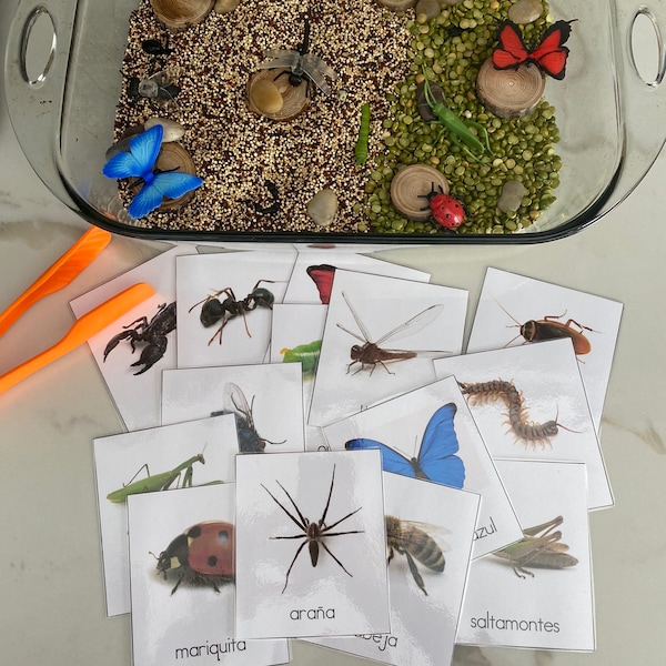 Layers of the Earth Nomenclature in Spanish/nomenclatura De Las Capas ...