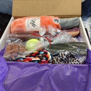 New Puppy Gift Box New Dog Owner Gift Welcome Home New Dog Adoption ...