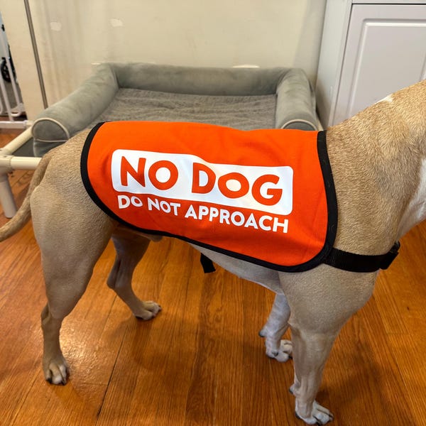 5-pack Adopt Me Dog Jackets Vests - Mix & Match - Etsy