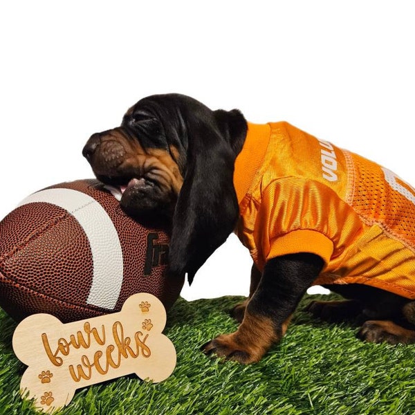 Dog Milestone Cards, Puppy, Personalized Dog, Pet Gift, Dog Breeder - Etsy