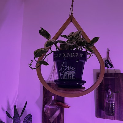 Kokedama Bonsai Ball Hook, Indoor Hanging Planter, Modern Plant Display ...