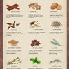 Medicinal Herb Guide, Digital Download, Herb Reference Guide, Herb ...
