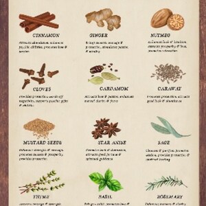 Medicinal Herb Guide, Digital Download, Herb Reference Guide, Herb ...