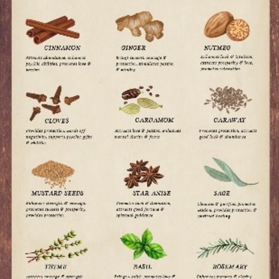 Medicinal Herb Guide, Digital Download, Herb Reference Guide, Herb ...