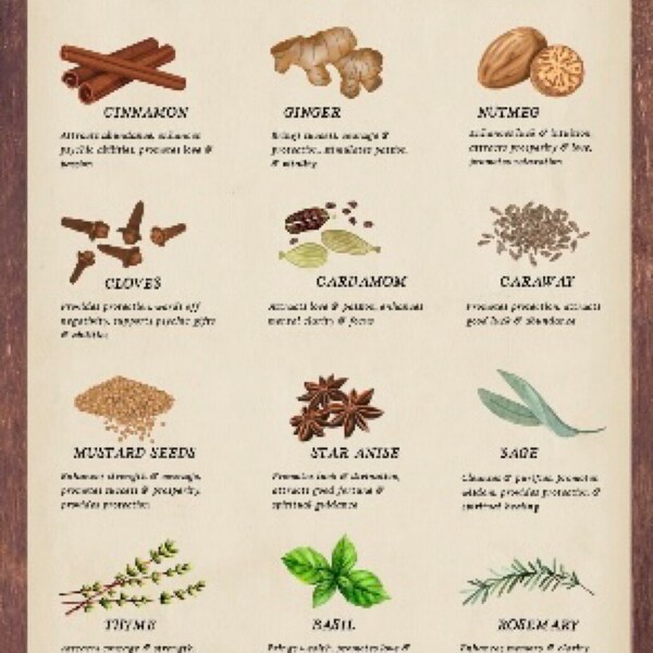 Medicinal Herb Guide, Digital Download, Herb Reference Guide, Herb ...