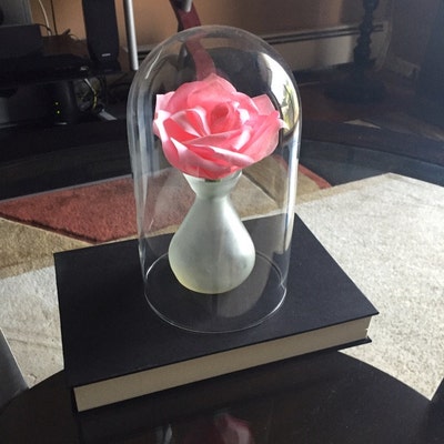 Mini Trans Pride Roses Small Trans Pride Flowers Transgender - Etsy