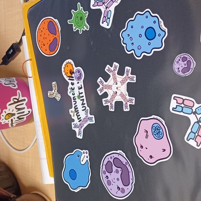 Cute Antibodies and Immune Cells Sticker Set - Etsy