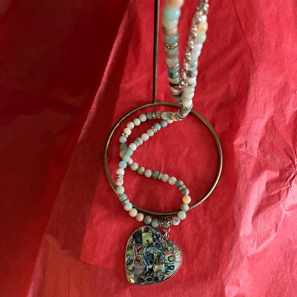 Seashells, Variety From Sanibel Captiva Islands Includes Scallops ...