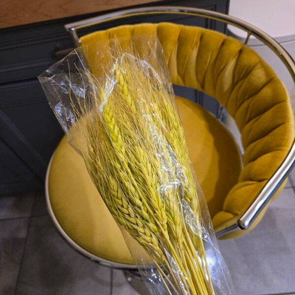 Red Preserved German Statice, Limonium Dried Flower, Crystal Flowers ...