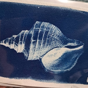 Cyanotype Kit, Cyanotype Stencils, Solar Art, Craft Kit, Diy Craft ...