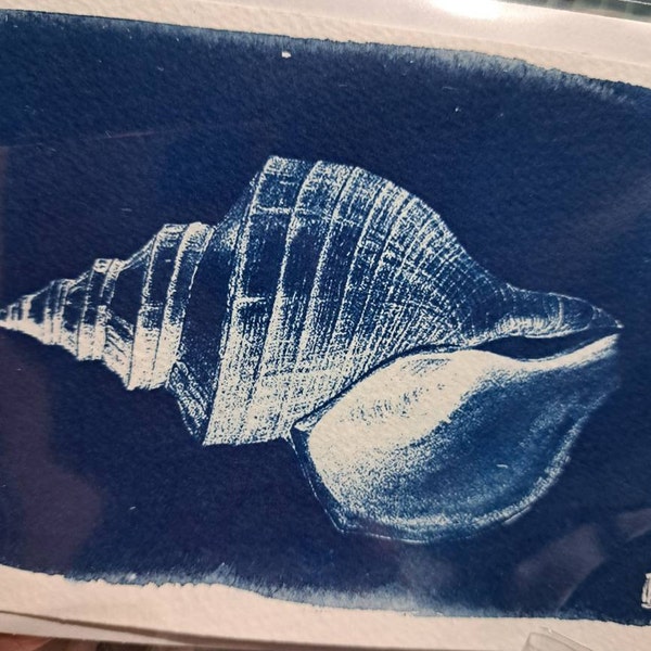 Cyanotype Stencils, Cyanotype Kit Just Stencils, Craft Kit for Adults ...