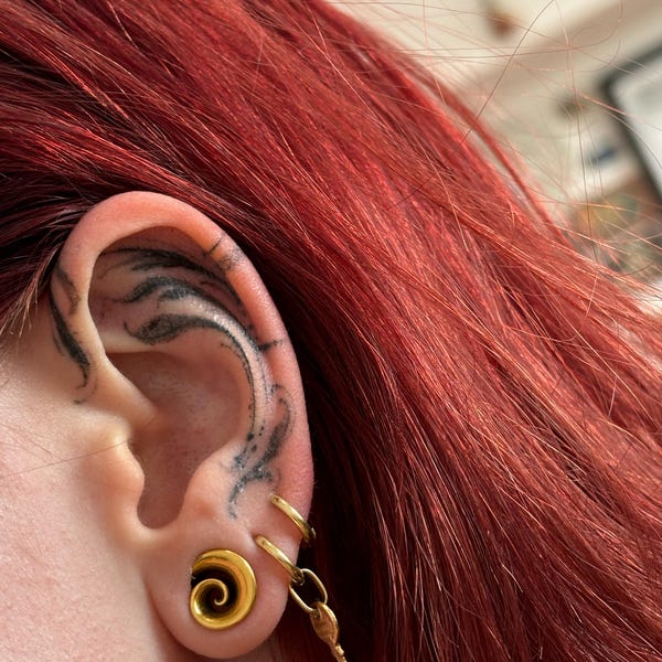 Swirl Ear Gauges Gauge & Plug Earrings Spiral Ear Gauges Saddle Plugs Gauges for Stretched Ears ...