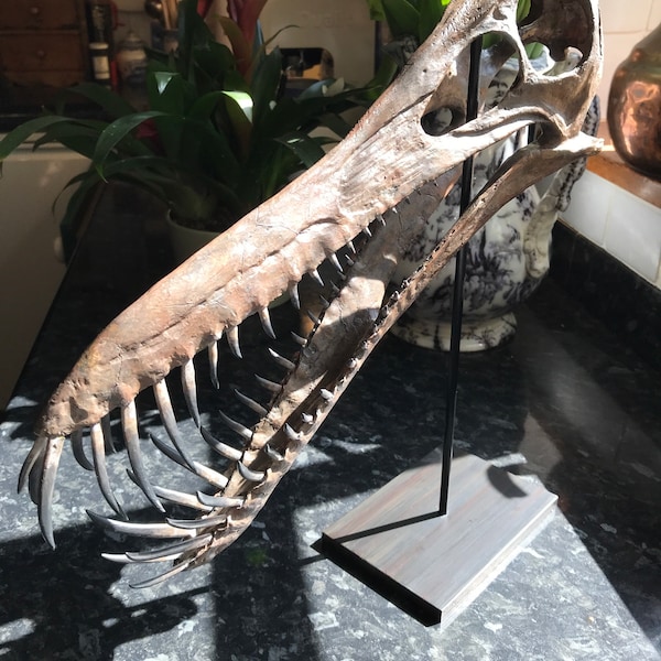 NEW, 40CM, Pterosaur / Boreopterus Skeleton Model Yayl-2020 - Etsy