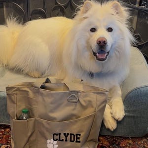 Reshipping Charge - Etsy