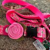High Desert Collection Waterproof Dog LEASH Stinkproof, Dirt Resistant ...