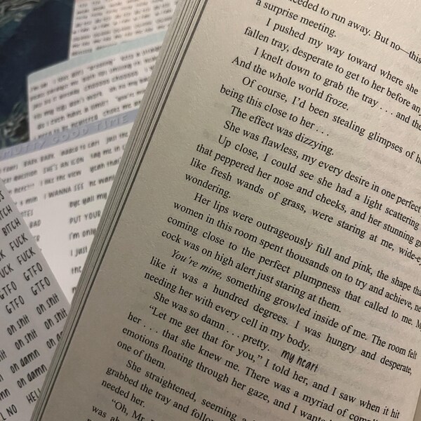 Smutty Good Time (3rd Edition) Sticker Sheet, Book Annotating Stickers ...
