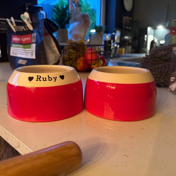 Springer Spaniel Bowl - Etsy