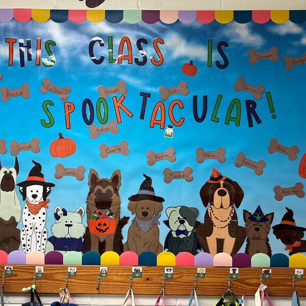 Wild About Learning - Zoo Animals Bulletin Board - Etsy