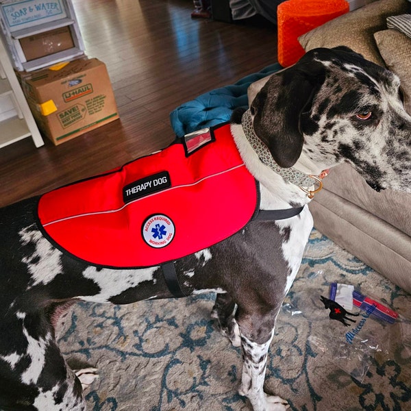 Emotional Support Animal E.S.A. Dog Harness Reflective Assistance Vest ...