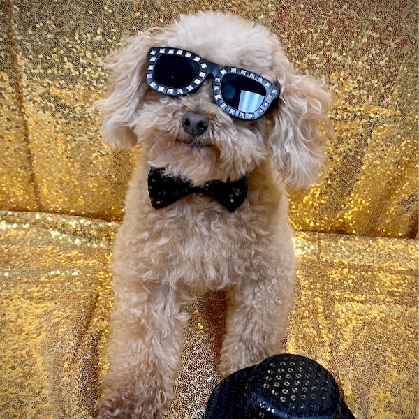 Hello Henri Large Mauve Studded Shades - Etsy