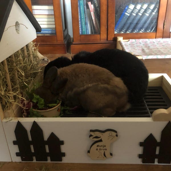 Large Hay Feeder and Litter Box for Giant Flanders Rabbit. Giant Rabbit ...