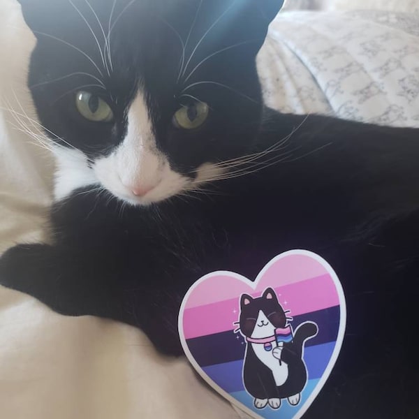 Purr-ide Stickers | Pride Cat Vinyl Stickers | LGBTQ, Gay, Lesbian ...