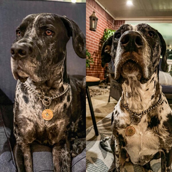 Personalized Floral Dog Tag, Custom Made Bullet Pet Tag, Customize Your ...