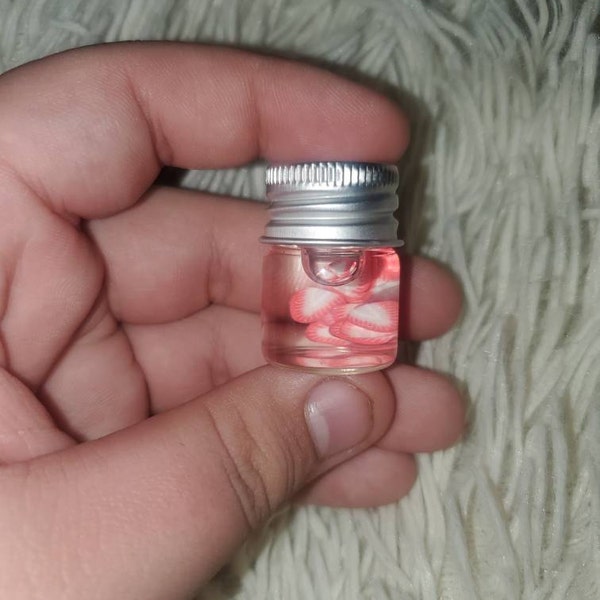 Chapstick Holder, Keychains,on the Go, Purse, Carry, Travel, School and ...