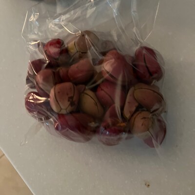 Nuts & Seeds Obi Obi Kola Pink Kola Nut Cola Nitida FREE SHIPPING USA ...
