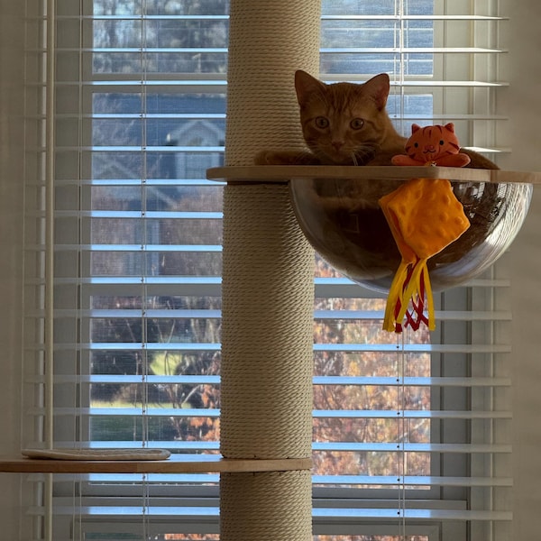 Rubber Wood Cat Tree Floor to Ceiling, No Drilling, Adjustable Height ...
