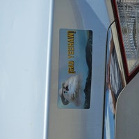 Sad Yeehaw Sad Cute Cowboy Cat Gen Z Sticker, Bumper Sticker and Magnet ...