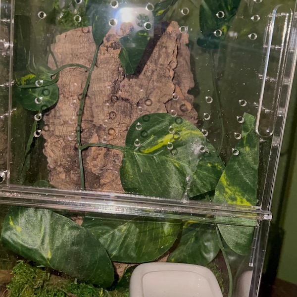 Bamboo Ring on a String Game Ring. Toss Game for Adults & Family Hook ...