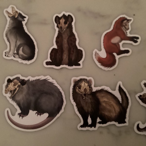 Boney Babies - Cute Animal Skull Vulture Culture Matte Stickers Choice ...