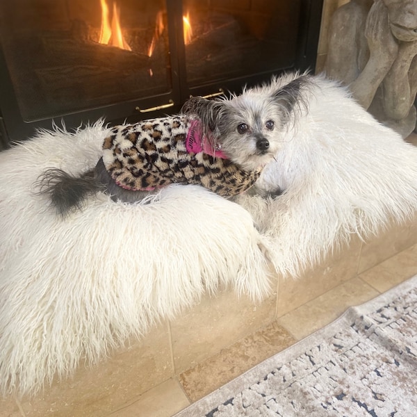 Handmade Luxurious Personalized Bone Fur Coat for Dogs With Tailoring ...