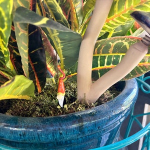 ASSORTED Plant Pals, House Plant and Fairy Garden Decor - Etsy