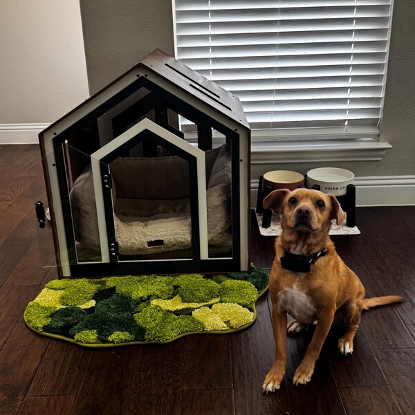 WOWY Walnut Modern, Dog House, Dog Crate, Dog Kennel, Wood Dog House ...