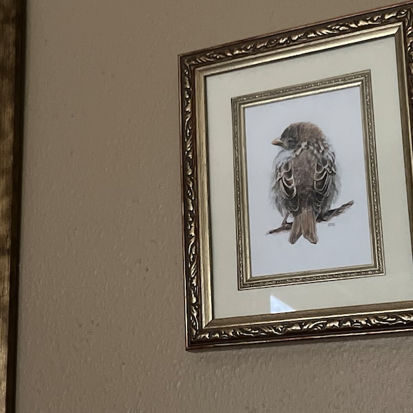 Loon, Original Waterbird Watercolor Art Print 8x10, by Shirley ...