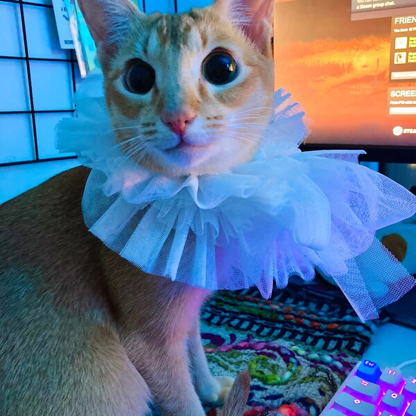 Neck Ruff Collar Tulle Clown Collar Navy Blue Circus Costume ...