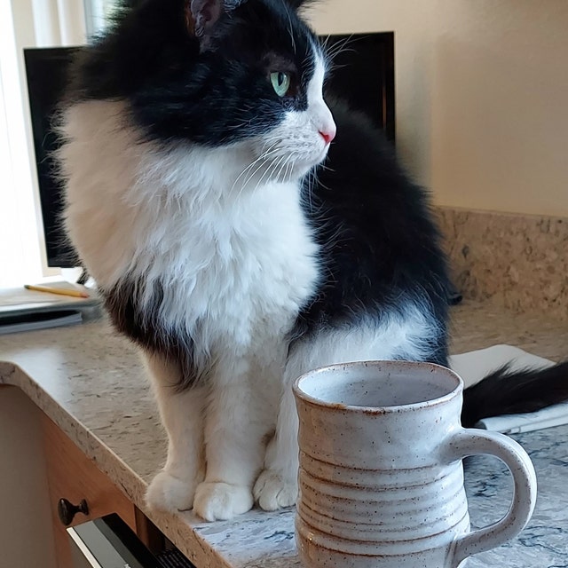 HandSlowPottery - Etsy