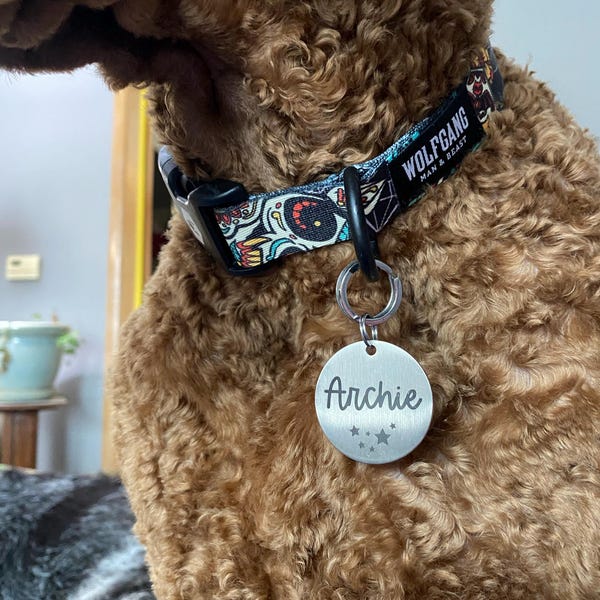 Custom Pet Collar • Collar Tag • Custom Pet Tag • Cute Pet Tag • Pet ID ...
