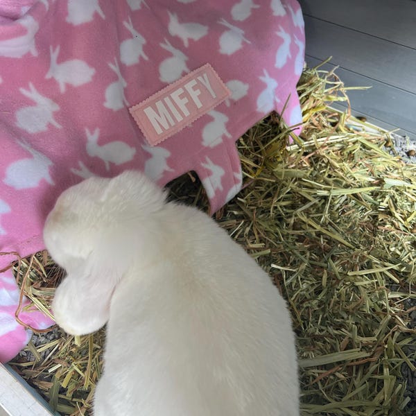 Padded Cotton Blanket Set for Ikea Dolls Bed Bunny Rabbit Blanket Pet ...