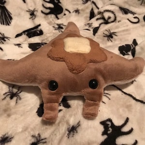 Sea Pancake Manta Ray Plush - Etsy