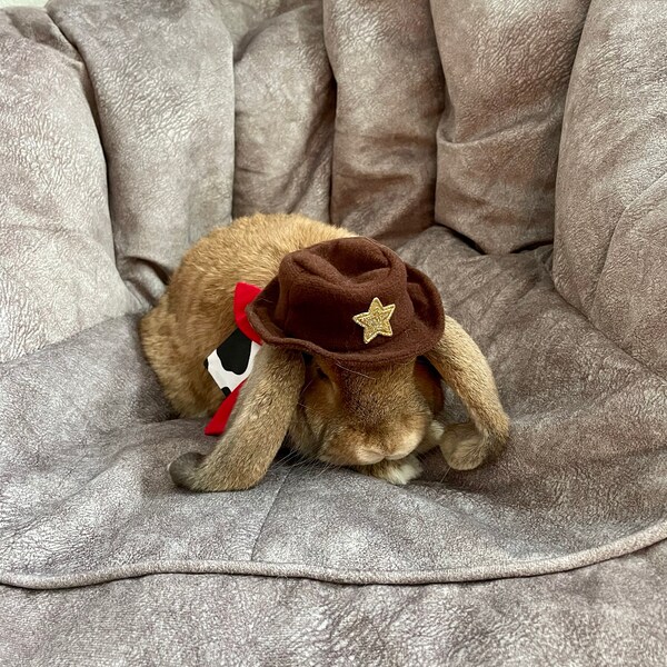 Cowboy Hat for Pet Bunny Rabbit and Other Small Pets - Etsy