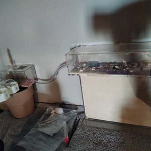 Sand Ant Farm Medium anthill, Formicarium, Educational, Ants NO ANTS - Etsy