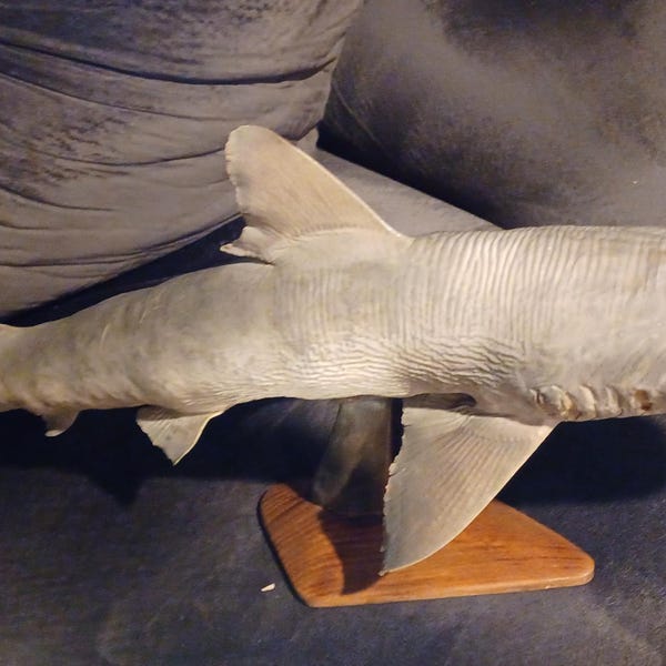 Sand of Sea Beach Sand Bulk Sand for Crafting Natural Sand for DIY 1 ...