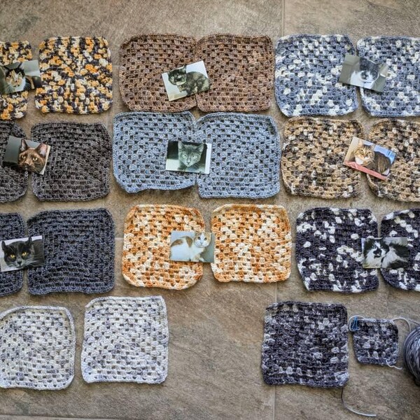 Toe Beans, Sock Club, 85/15 Superwash Merino/nylon Blend, 480 Meters ...