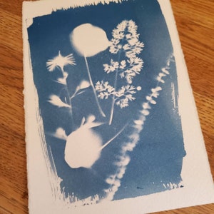 DIY Solar Printing Kit Craft Kit Cyanotype Kit Solar - Etsy