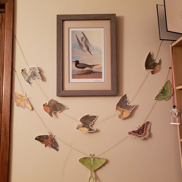 Colorful Moth Illustrated Garland - Etsy